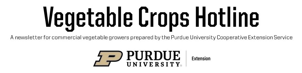 Weeds | Article Tags | Purdue University Vegetable Crops Hotline
