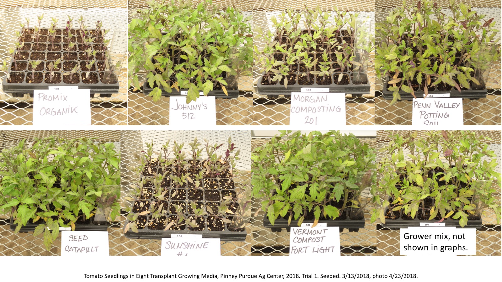 How Do Growing Media for Organic Production Compare? | Purdue ...