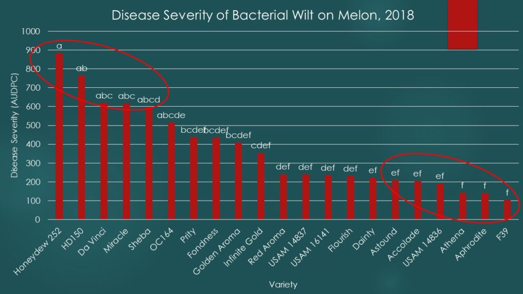 Susceptibility of Melon Varieties to Bacterial Wilt | Purdue University ...
