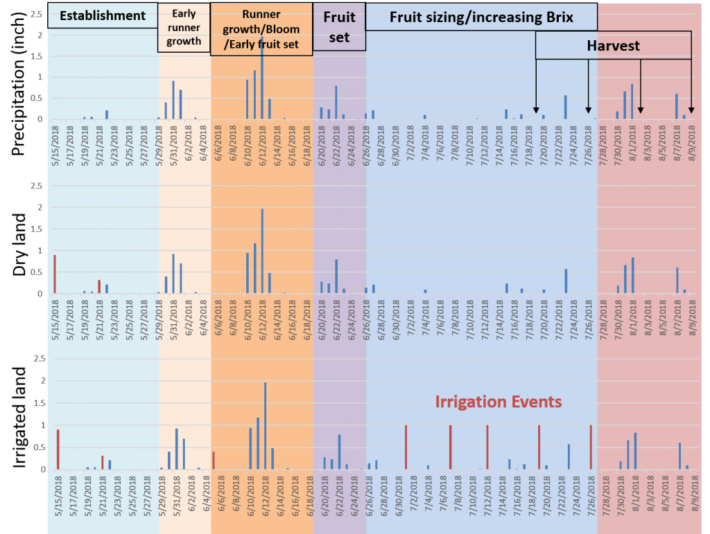 Considerations for Irrigation Management in Watermelon Production ...
