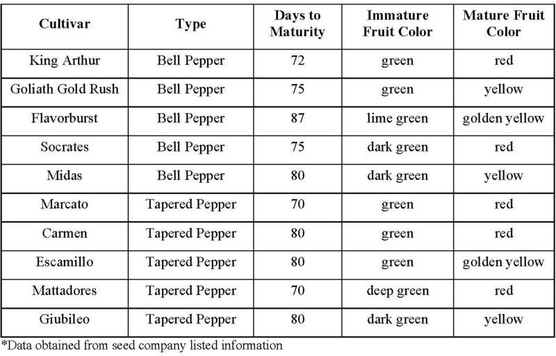 Have You Selected Your Sweet Pepper Varieties Yet? | Purdue University ...
