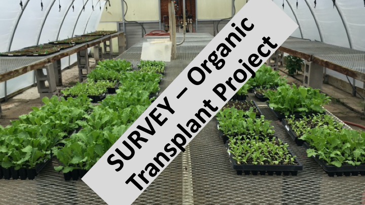 Organic Transplant Production Project – Feedback Requested for Report ...