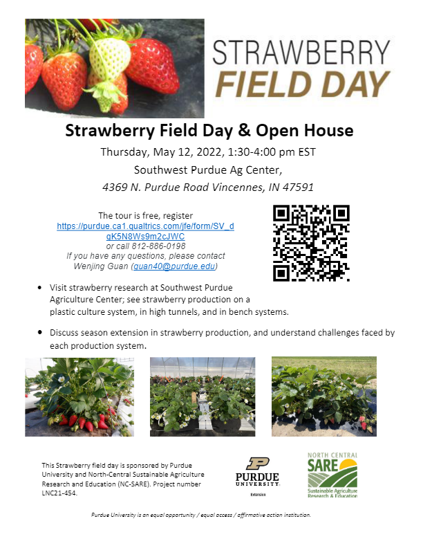 Strawberry Field Day | Purdue University Vegetable Crops Hotline