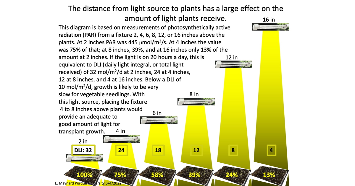 How Distance from Light Fixtures Influences Light Level for Seedlings ...