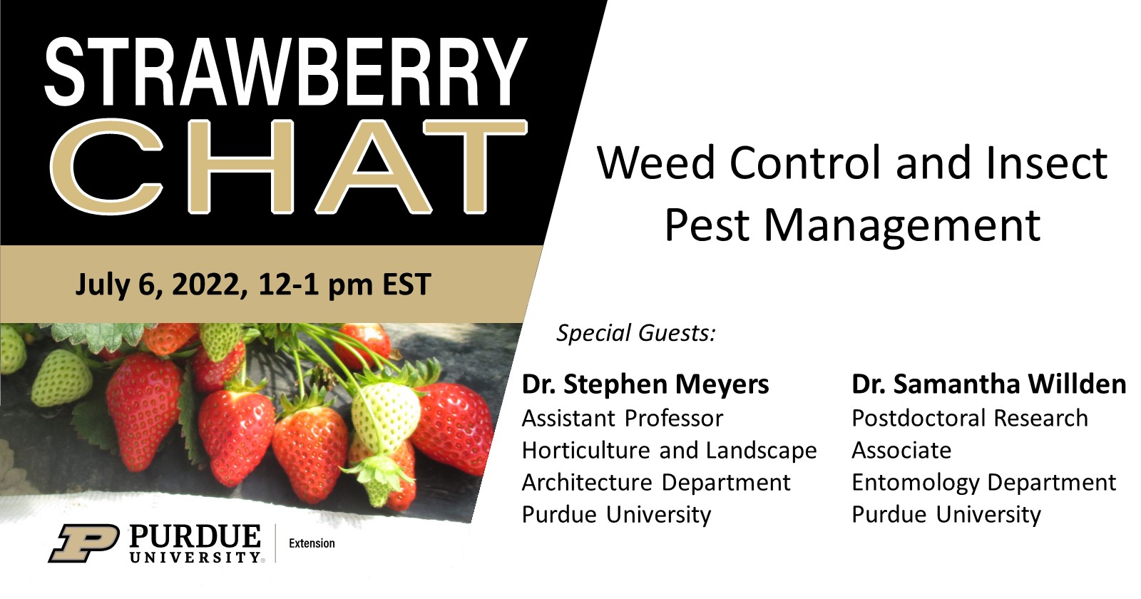Strawberry Chat — June Record and July Topics | Purdue University ...