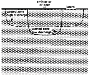 Understanding Wetting Patterns in Drip Irrigation | Purdue University Vegetable Crops Hotline