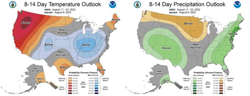 Warm Temperatures and Rain Dominate Early August with Cooler Weather ...