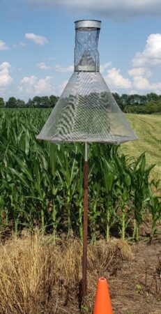 Insects Traps as a Monitoring Tool | Purdue University Vegetable Crops ...
