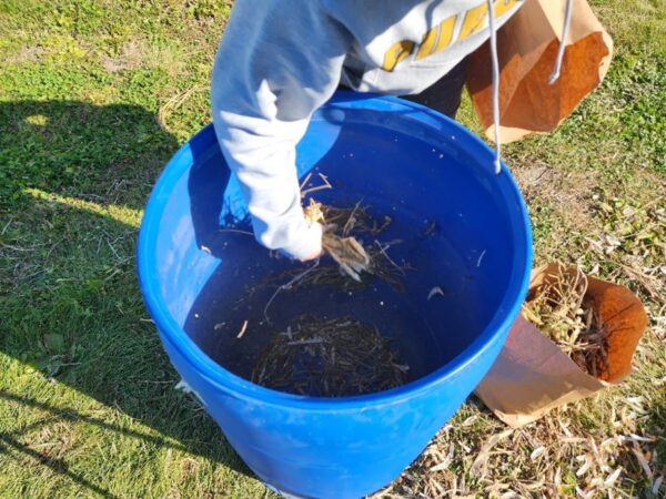 A Large Grain for the Small Farm? | Purdue University Vegetable Crops ...