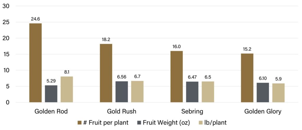 Planning on Growing Summer Squash this Summer? | Purdue University ...