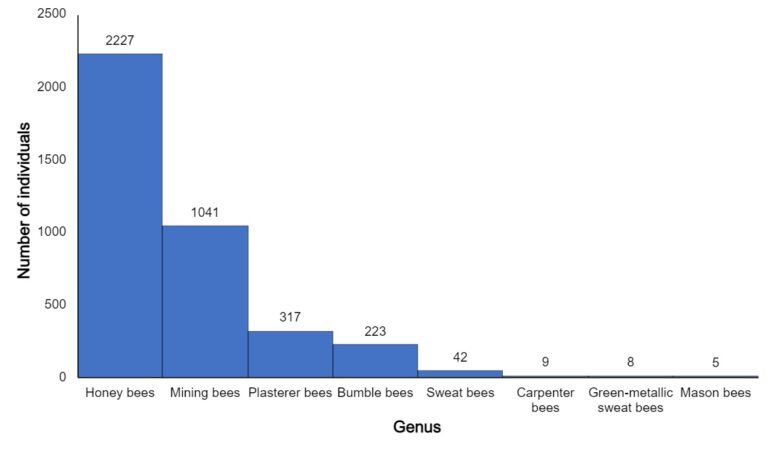Enhancing Insect Pest and Pollinator Management with Flowering Cover ...