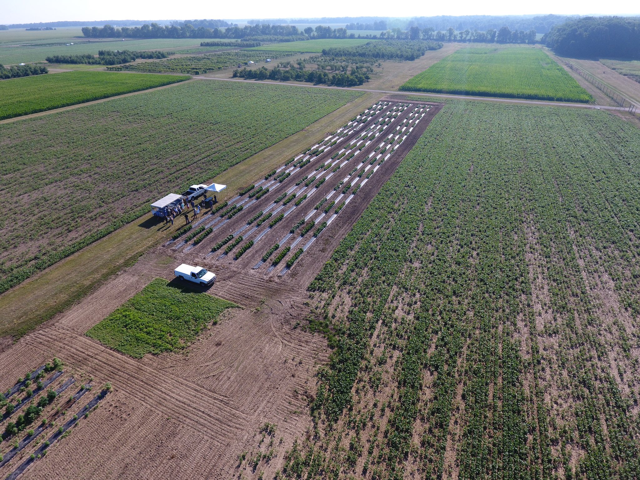 Last Chance to Register for the Meigs Field Day | Purdue University ...