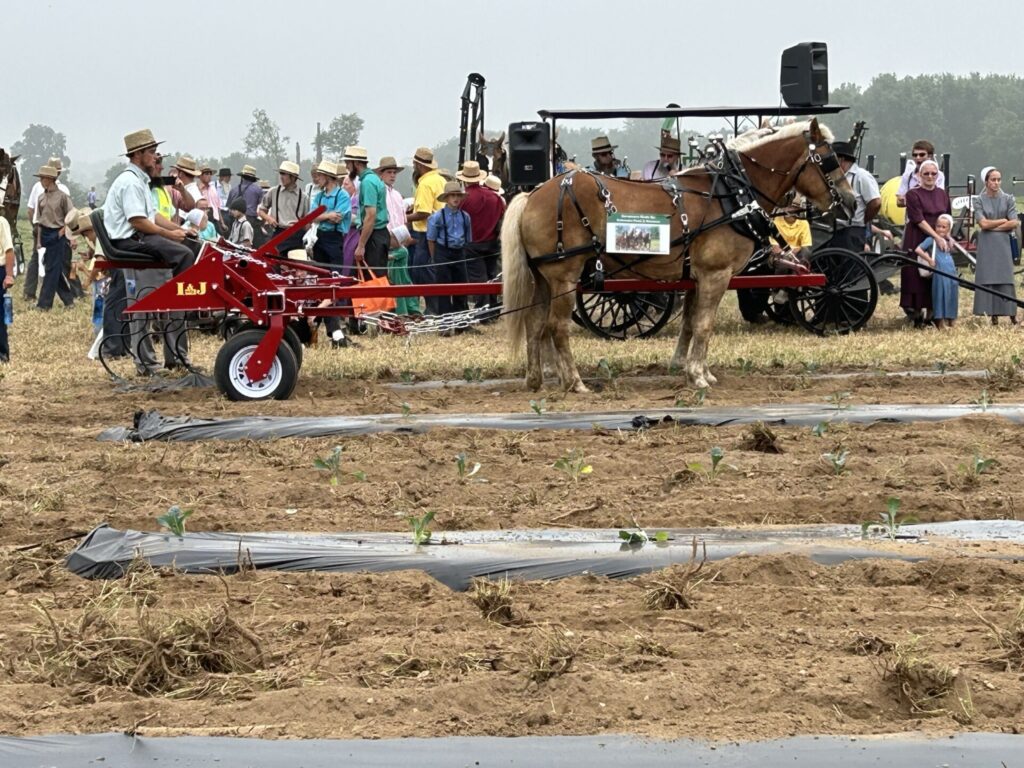 Draft Animal Power on Small Farms | Purdue University Vegetable Crops ...