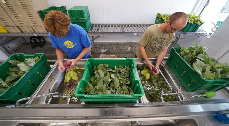 Food Safety Considerations for Postharvest Handling of Produce | Purdue ...