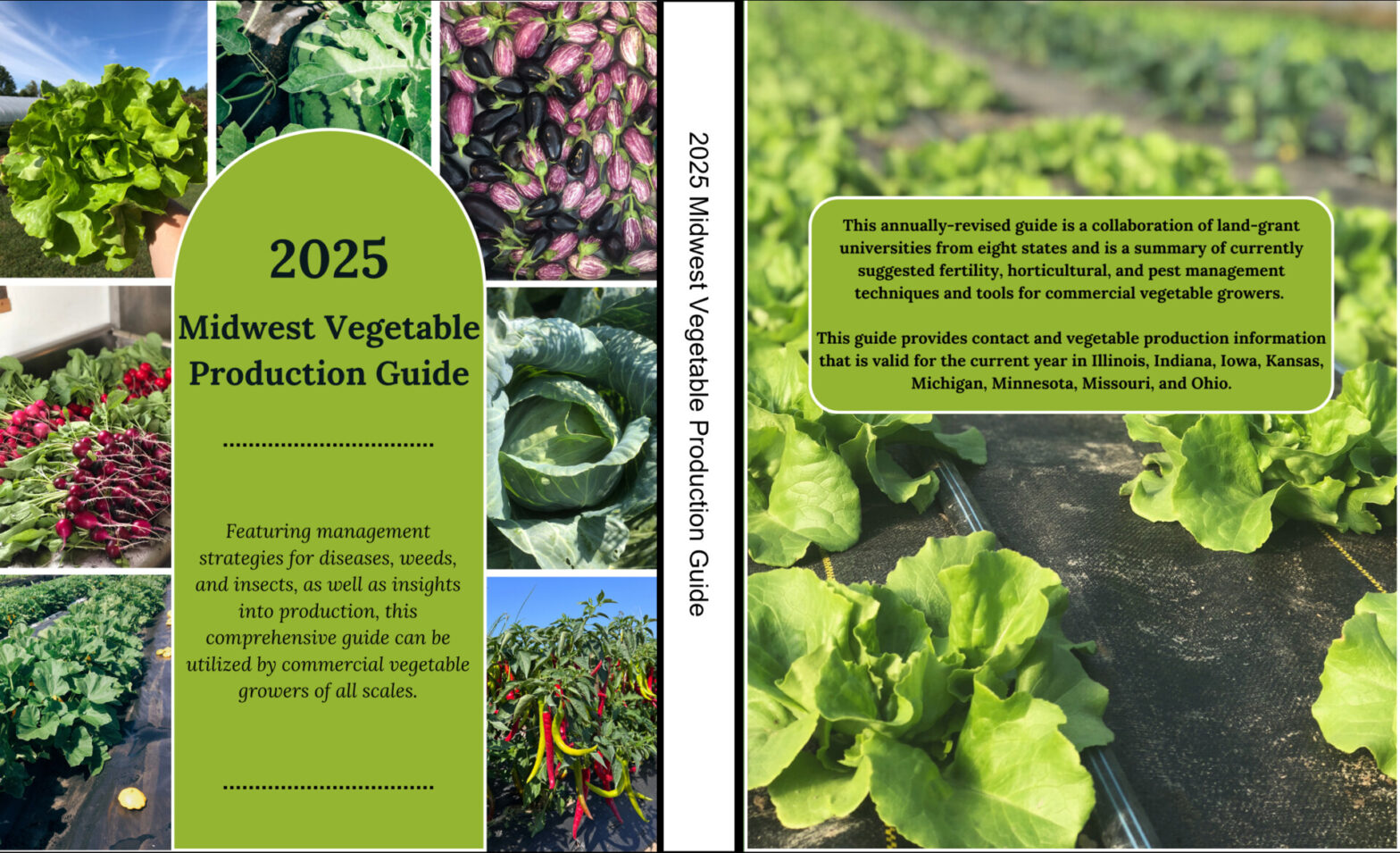 Indiana Vegetable Gardening Guide