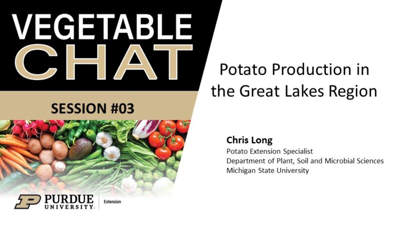 Vegetable Chat: Potato Production in the Great Lakes Region | Purdue ...